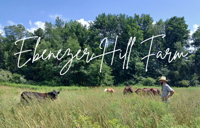 Ebenezer Hill Farm - Ebenezer Hill Farm